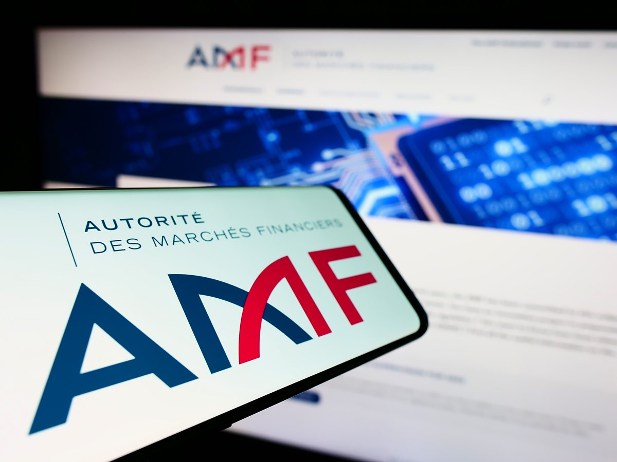 L'AMF publie son rapport annuel 2024 : quels enseignements en tirer ...